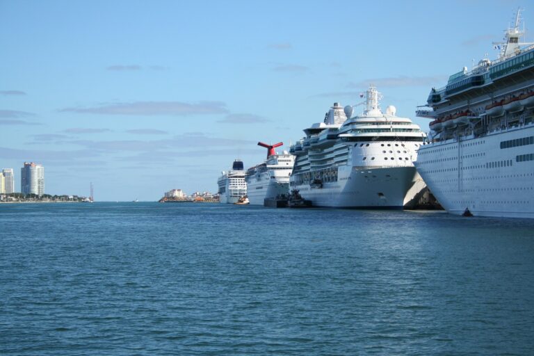 Navigate Embarkation and Disembarkation Like a Pro: Start and End Your ...