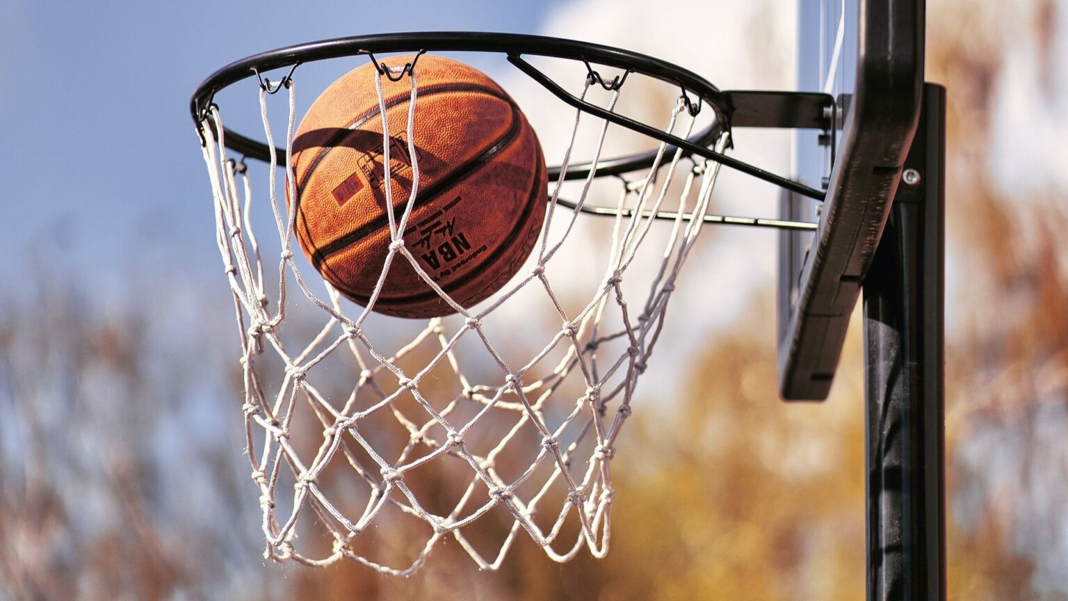 Cruise Ship Basketball Courts — Which Lines Let You Play at Sea – Port ...